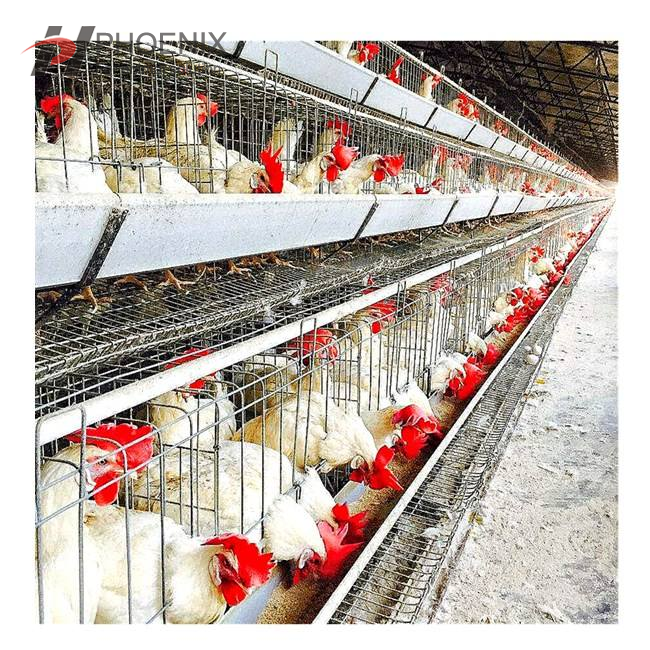 A-type Manual Chicken Cage Chicken Coop for Animal & Poultry Husbandry ...