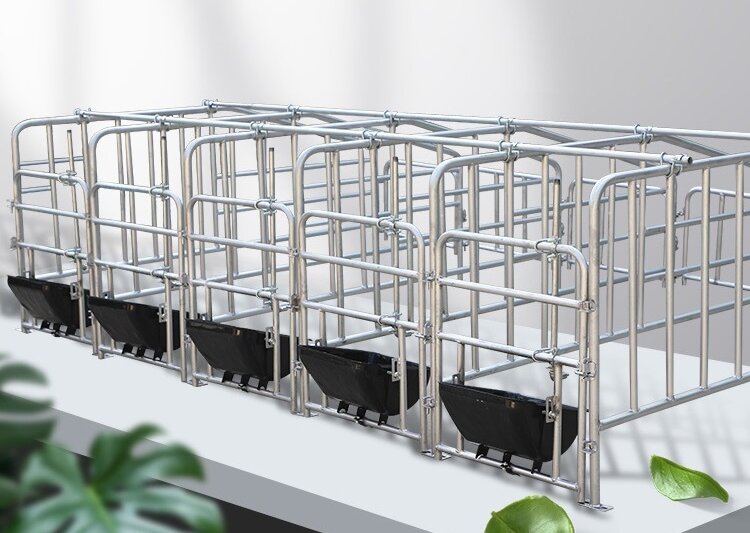 Galvanized Cages Gestation Stall Or Insemination Stall for Sow - Buy ...