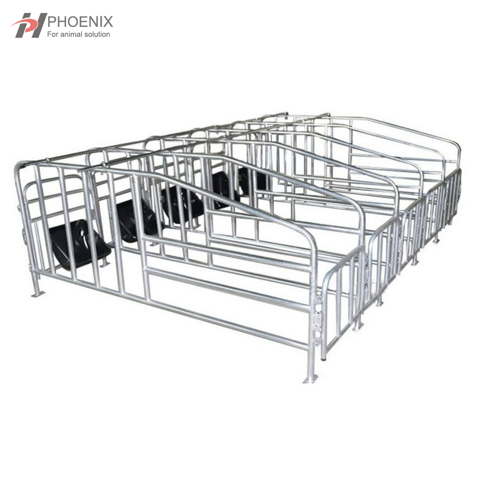 Galvanized Cages Gestation Stall Or Insemination Stall for Sow - Buy ...
