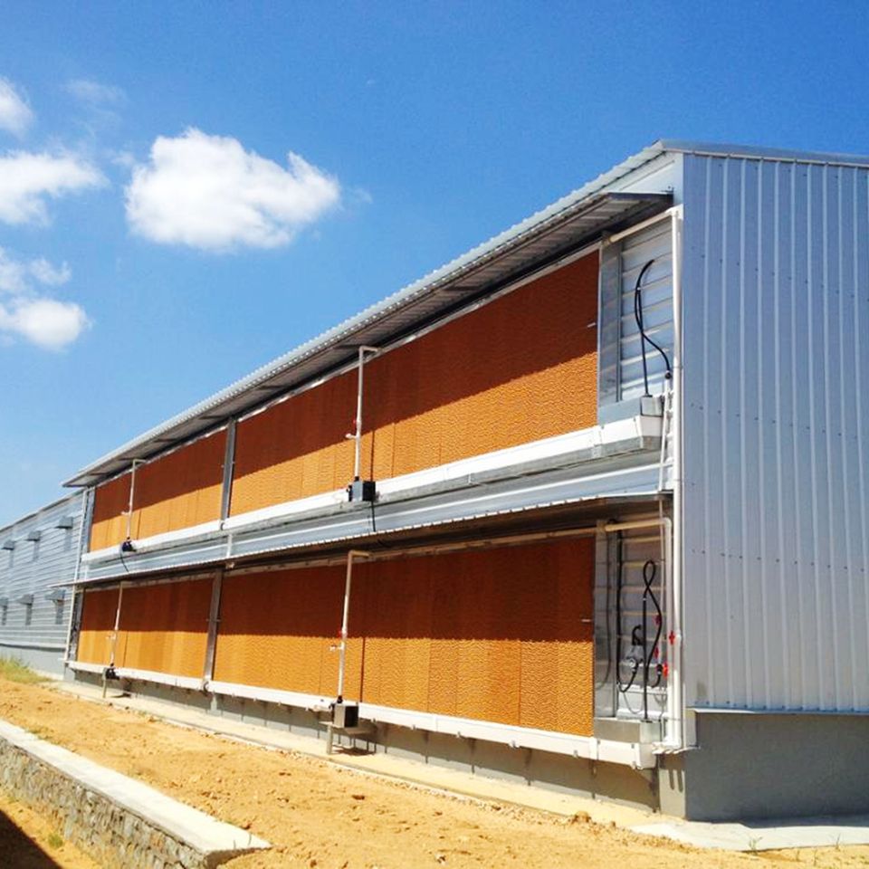 Automatic Chicken Breeding Equipment - Buy automatic chicken feeding ...