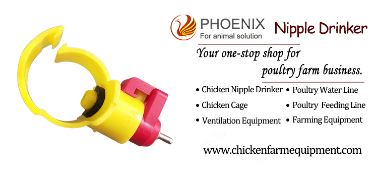 Nipple Drinkers with Bracket Automatic ABS Material Nipple Drinkers PH ...