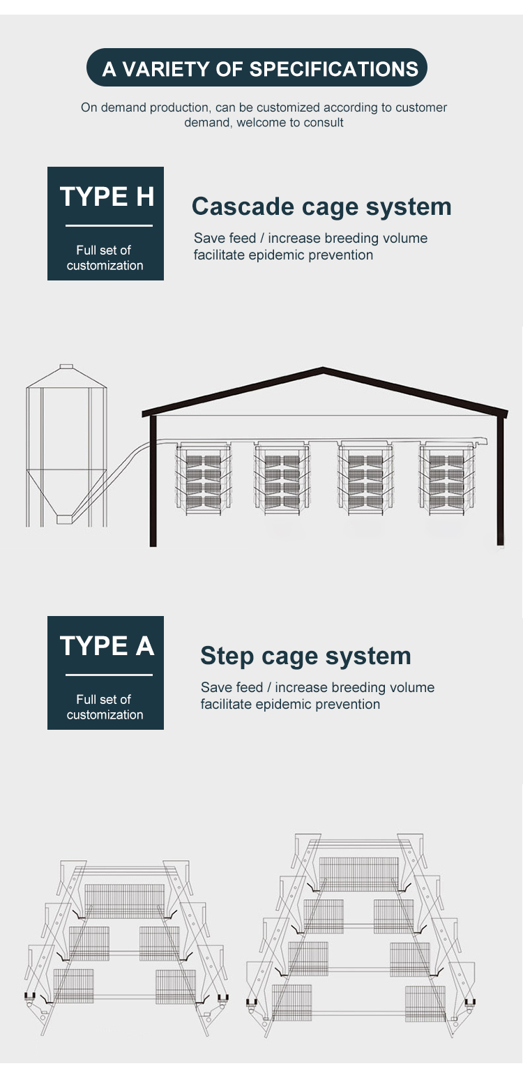 H-type Battery Layer Chicken Cage System Automatic Chicken Layer Cage ...
