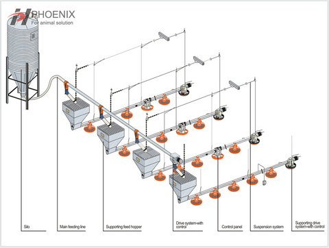Poultry Feeding Line System, Poultry Feeding Line System Products ...