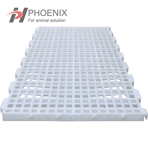 Chicken Plastic Slat Floor for Poultry Farm Animal Flooring Chicken Pig ...