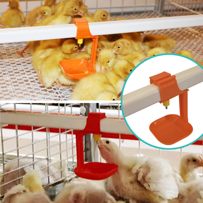 Ph-01 Autoamtic Cone Valve Poultry Water Nipple Drinker - Buy Chicken ...