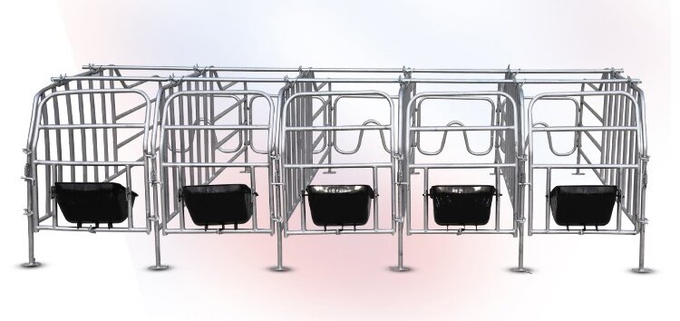 Galvanized Cages Gestation Stall Or Insemination Stall for Sow - Buy ...