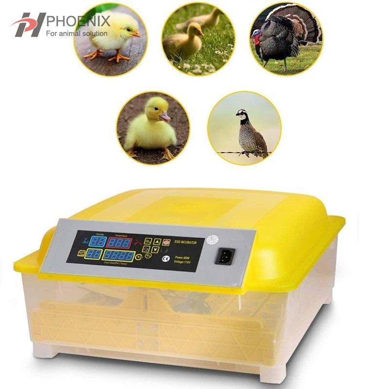 Mini Egg Incubator 24-Eggs Intelligent Automatic Mini Egg Incubator ...