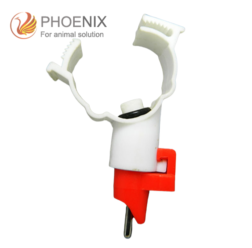 Automatic Water Feeder for duck Poultry Broiler Drinkers with Pipe ...
