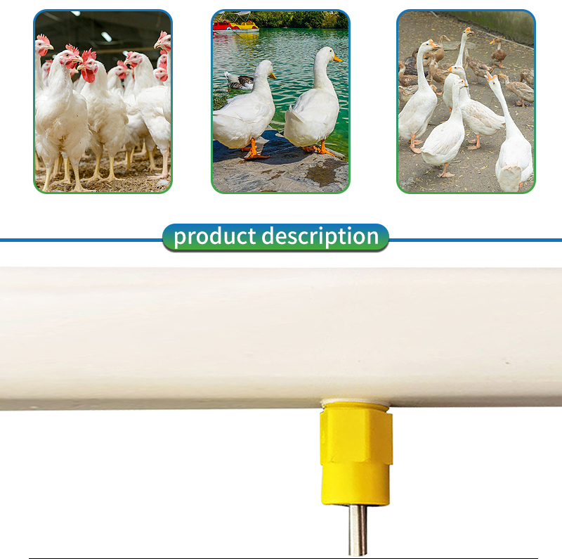 Square Pipe 22mm Poultry Water Line PVC Tubes for Chicken Drinking ...