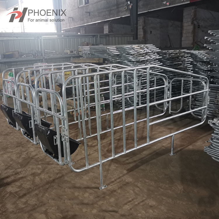 Galvanized Cages Gestation Stall Or Insemination Stall for Sow - Buy ...