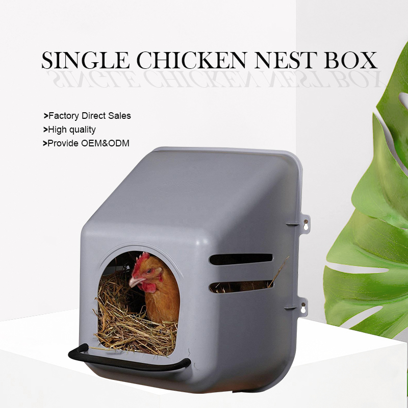 Single Hole Chicken Nest Box for Poultry Equipment Chicken Coop Ph-160 ...