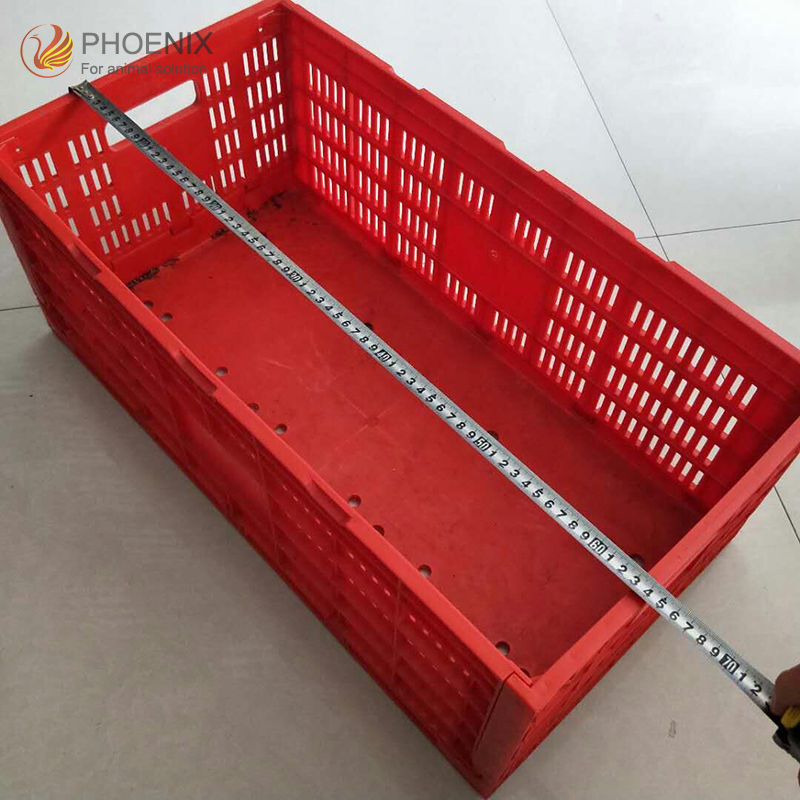 High Quality Collapsible Plastic Egg Cages Egg Transfer Boxes For ...