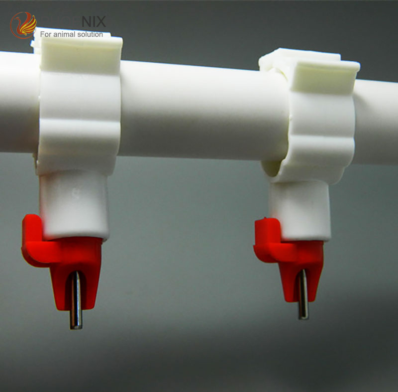 Automatic Water Feeder for duck Poultry Broiler Drinkers with Pipe ...