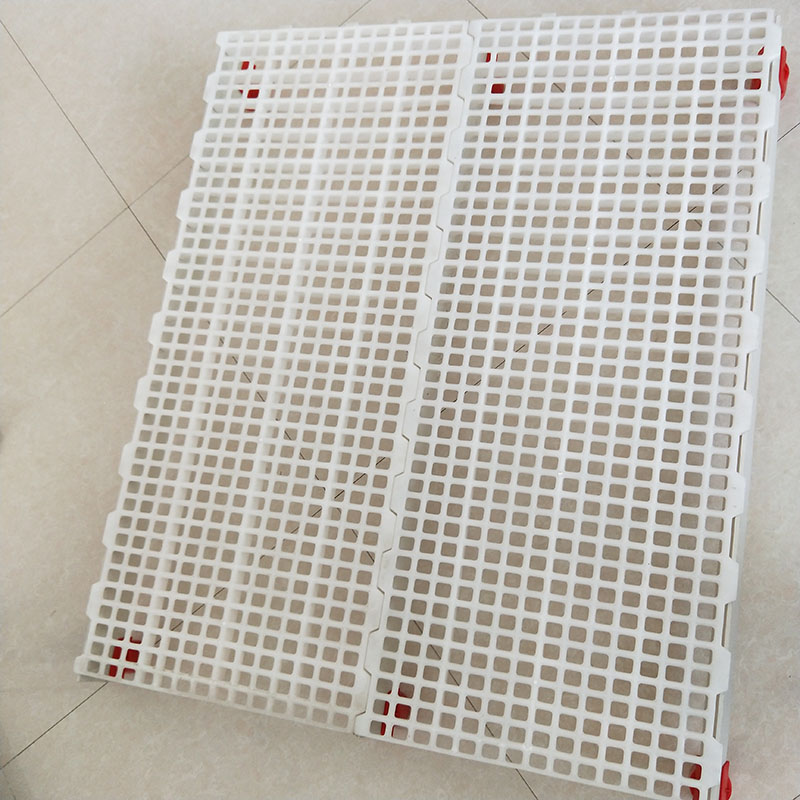 Chicken Plastic Slat Floor for Poultry Farm Animal Flooring Chicken Pig ...