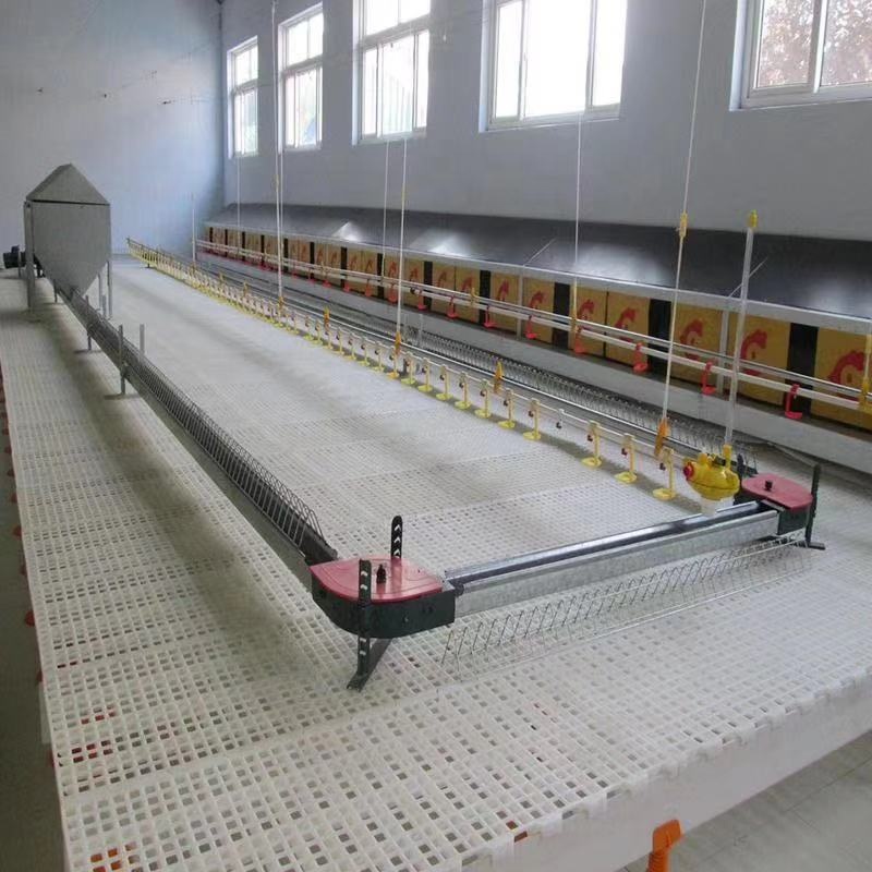 Chicken Plastic Slat Floor for Poultry Farm Animal Flooring Chicken Pig ...