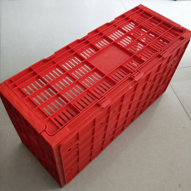 High Quality Collapsible Plastic Egg Cages Egg Transfer Boxes For ...