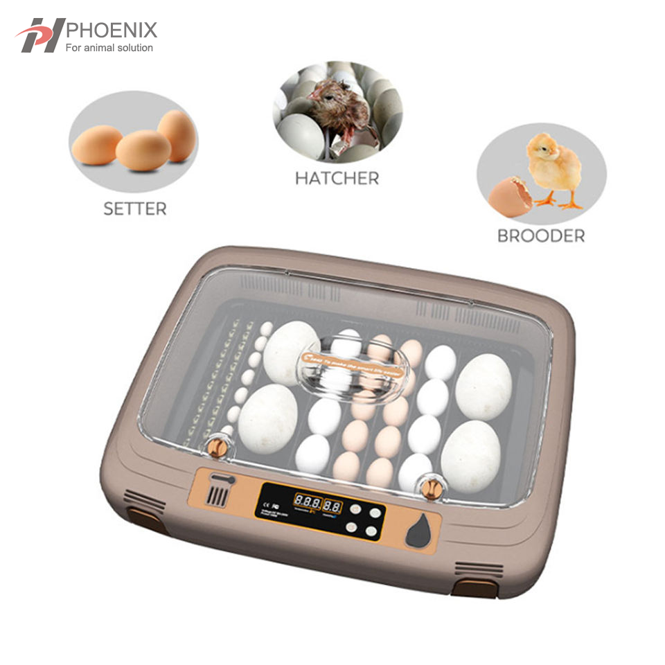 Mini Egg Incubator - Buy mini egg incubator, mini egg incubators ...